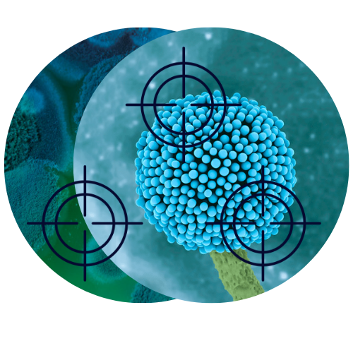 TOX HUNTER MAX® | Agromax Nutrition